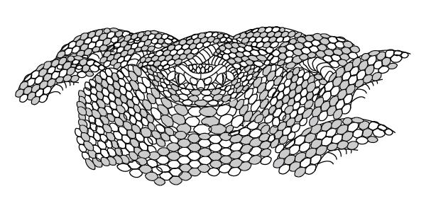 Snake Symbols and Meanings | Snakes Mythology, Legends, Beliefs and ...