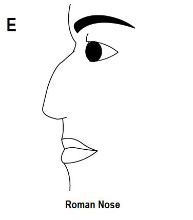 Chinese Nose Reading | Nose Tip and Nostril - Shapes, Meanings and ...