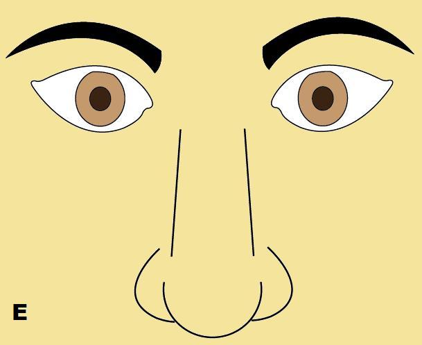 Eyes (Face Reading) | Eye Shapes, Their Meaning and Personality