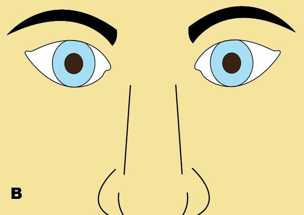 Eyes (Face Reading) | Eye Shapes, Their Meaning and Personality