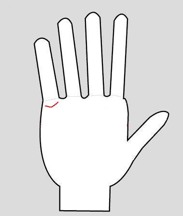 Rings on Fingers in Palmistry | Ring of Solomon, Saturn, Apollo, Venus ...